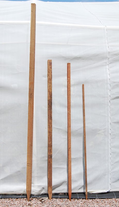 Hardwood Stake 1500mm x 23x23mm - Project Plants