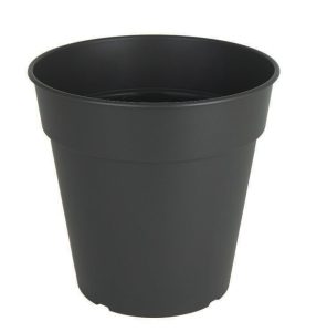 POTS Archives - Project Plants