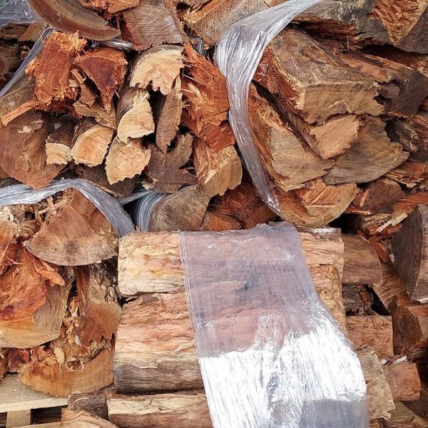 FIRE PITS – Project Plants