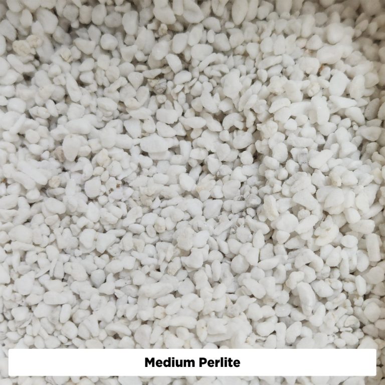 Perlite Medium 100L - Project Plants