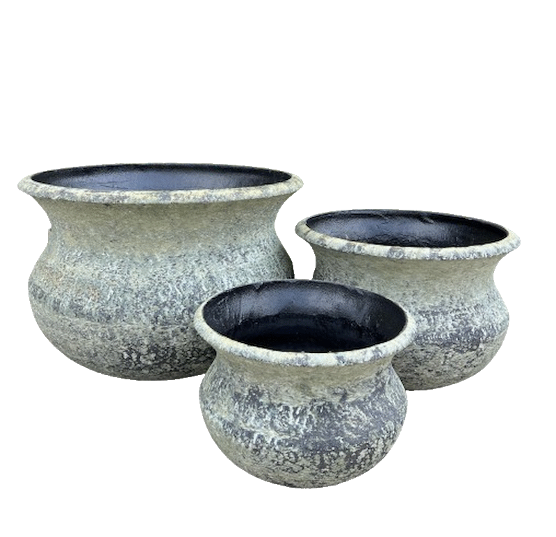 TRITON Belly Atlantic Green - Project Plants