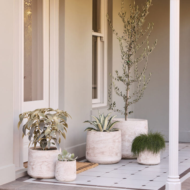 Modstone Cylinder Pot White Pietra - Project Plants