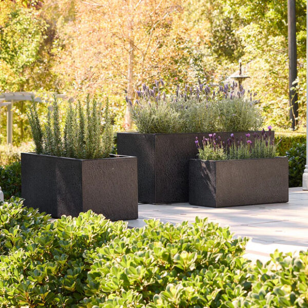 SLATE Trough Black - Project Plants